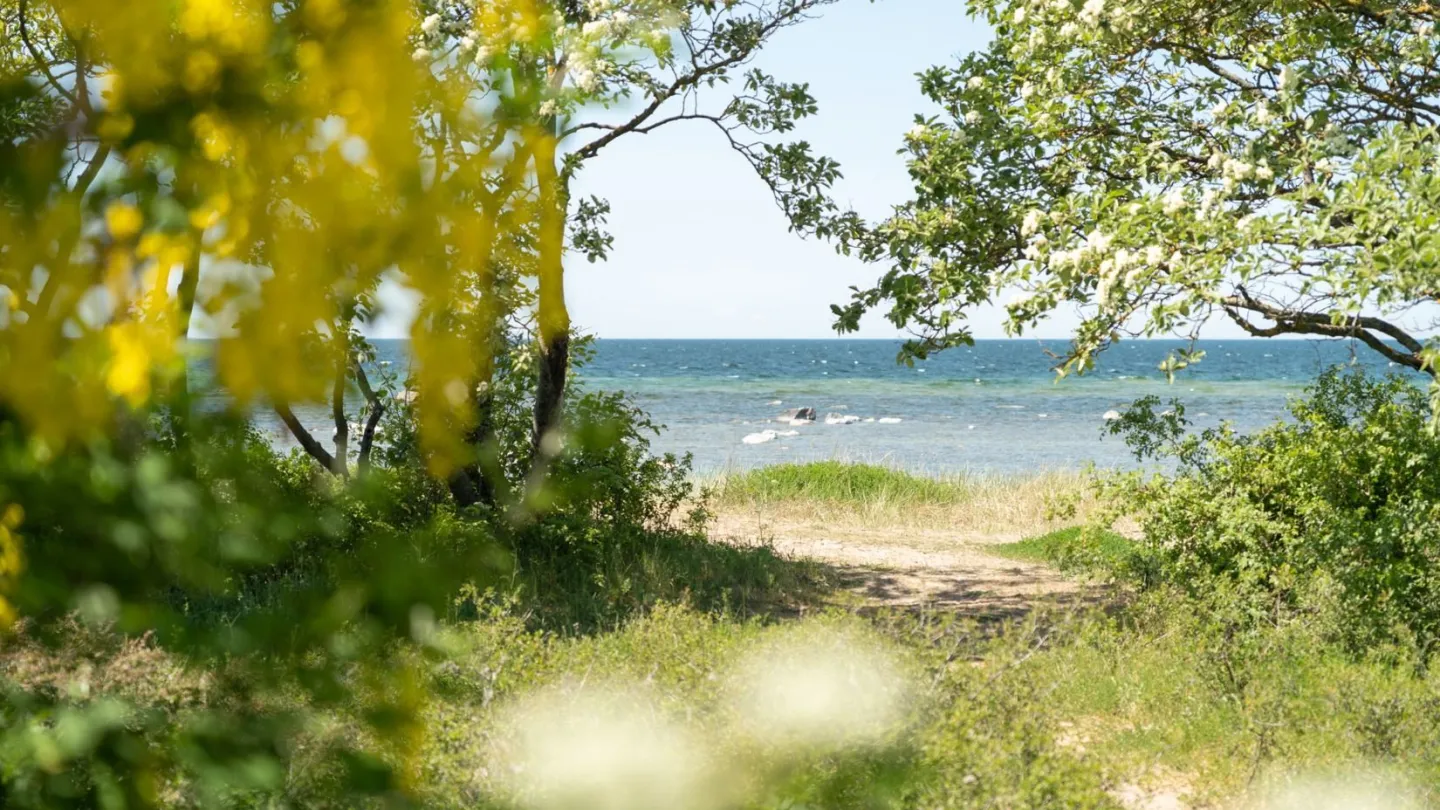 Campingpaket | Destination Gotland